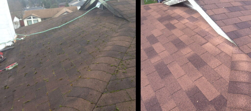 Nanaimo Roof Cleaning | Voted Best In Nanaimo | Mr. Sparkle
